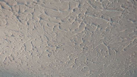 Types Of Ceiling Texture Brushes At Richard Groves Blog