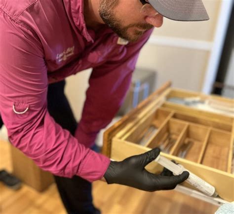 Pest Control Kissimmee Fl Lydybug Pest Control