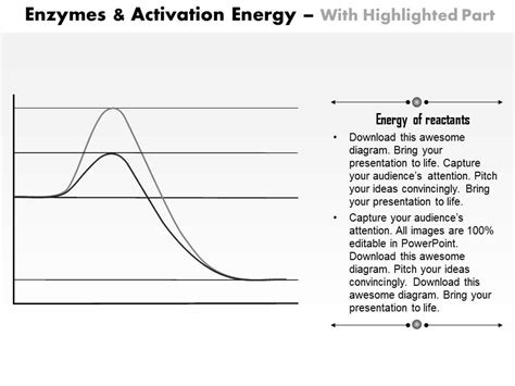 Enzyme Activation Energy Graph
