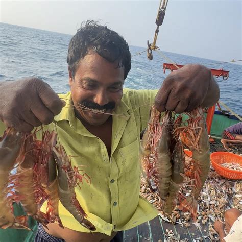ആനക്കൊഴുവയും മുളകുവടയും കൊണ്ട് ഒരു അടിപൊളി കറിവെച്ചപ്പോ