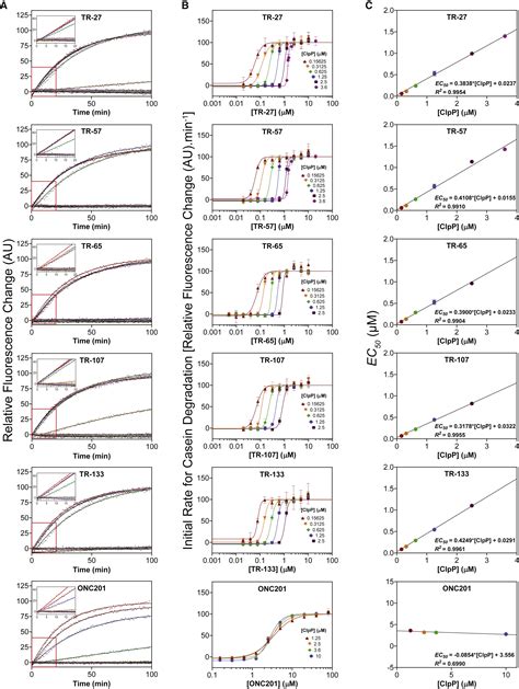 Potent Clpp Agonists With Anticancer Properties Bind With Improved