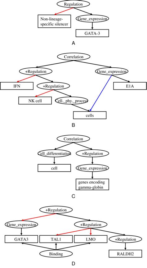 Graphical Representation Of Events In Some Example Sentences Examples