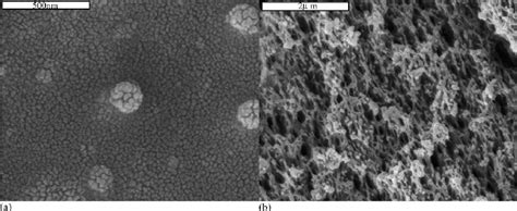 Micrographs Of The Porous Membrane Prepared By Phase Inversion From The