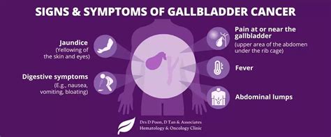 Liver And Gallbladder Signs Symptoms And Treatment