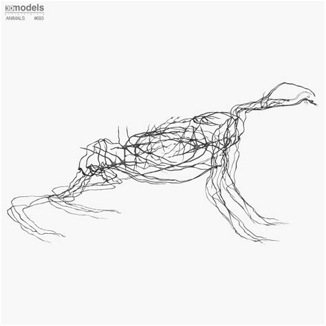 Sistema Linfático De Rana Modelo 3d Descargar Amphibia On