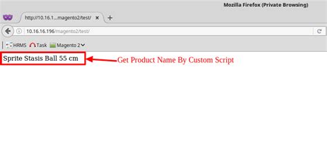 Nginx How Do I Run Php Custom Script On Magento2 Magento Stack Exchange