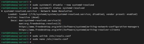 cómo configurar un dns local con dnsmasq en debian 12 howtoforge