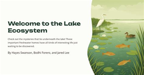 Welcome To The Lake Ecosystem