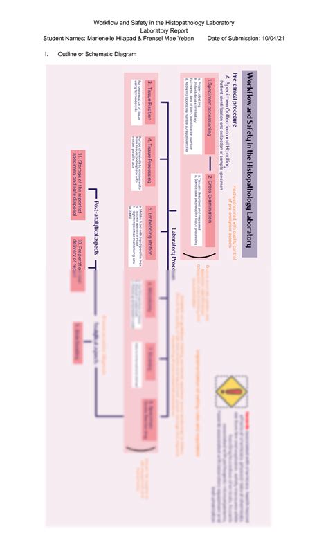 Solution Workflow And Safety In Histopathology Lab Studypool Solution Workflow And Safety In Histopathology Lab Studypool