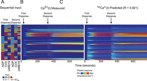 neural network prediction of sequential addition experiments a