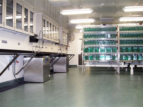 Chem Rock Primer Rock Tred Epoxy Primer Flooring Diamond Tool Store