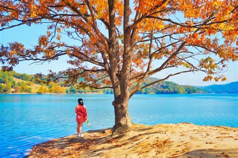 대전 가을 가볼만한곳🍂 대청호 명상정원 남간정사 유성온천공원 네이버 블로그