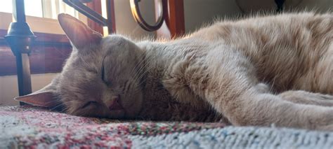 When That Spring Weather Hits And Your Favorite Bedside Window Is Open