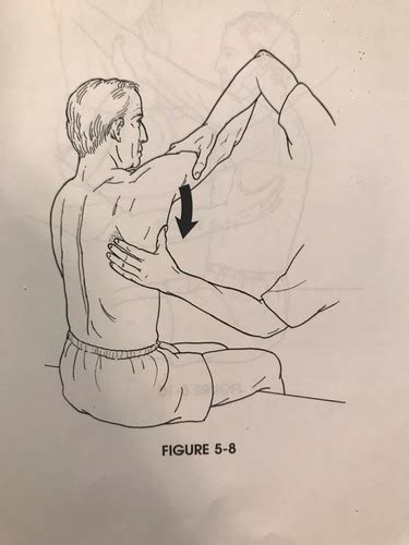 Manual Muscle Testing Flashcards Quizlet