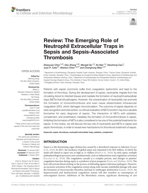 Pdf Review The Emerging Role Of Neutrophil Extracellular Traps In