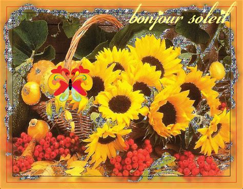 Bonjour Soleil