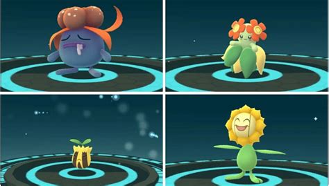 Sunkern Evolution