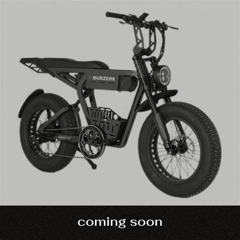 Oracle Electric Bike Burzerk