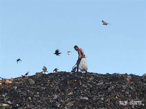 生活垃圾回收利用，对环境保护的重要性（中） 知乎