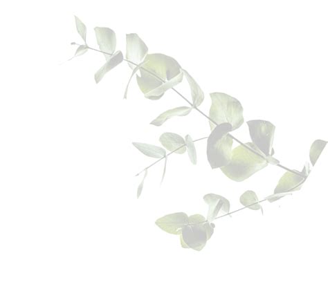 Is Swelling After A Root Canal Normal Or A Dental Emergency Steve