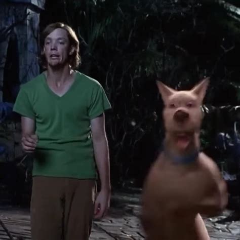 13 Best Scooby Doo Hanna Barbera Images On Pholder Scoobydoo