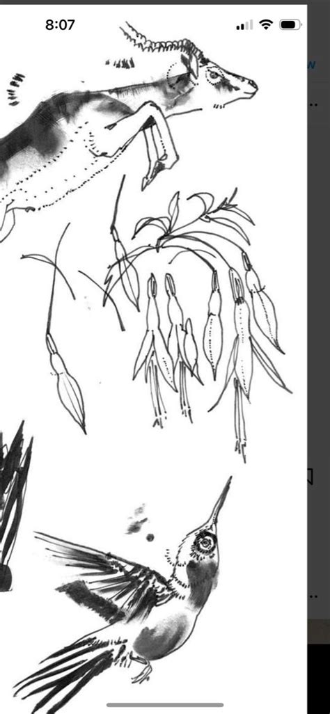 Bird Identification Chart Diy And Crafts Fabric Crafts Knitting