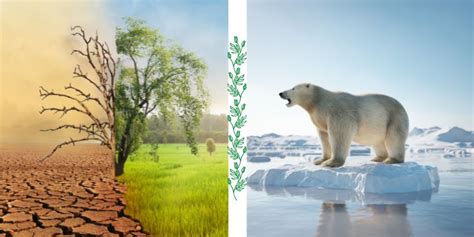 Diferencias Entre Cambio Climático Y Calentamiento Global