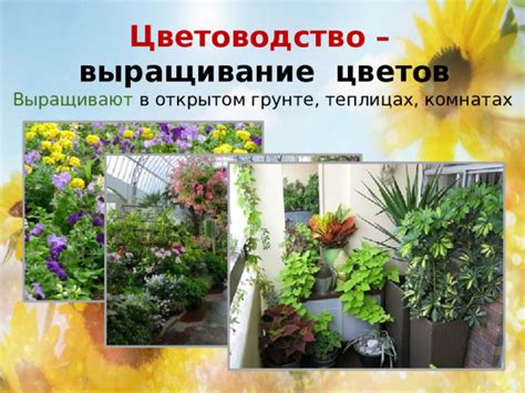 Растениеводство в нашем крае