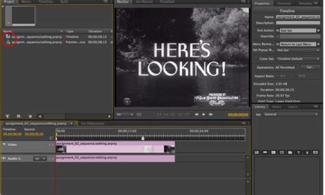Adobe Encore Cs Templates Best Of Free Adobe Encore Dvd Menu Inside Adobe Encore Menu Templates