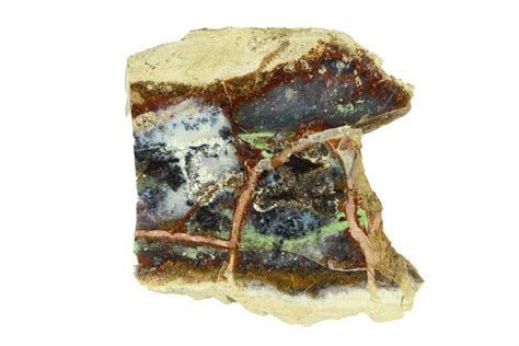 Polished Colorful Agate Section Java Indonesia For