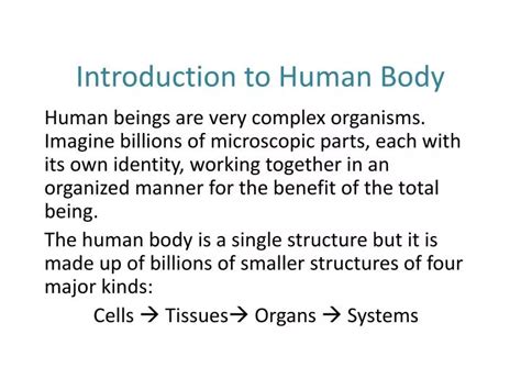 Ppt Introduction To Human Body Powerpoint Presentation Free Download Id 2287766
