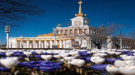 Трезвое приключение Яси в Екатеринбурге: Удивительное Открытие!# ...