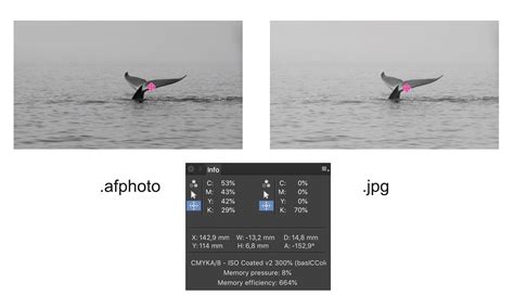 Linked Greyscale Image Bug Misleading Behavior Pre V Archive Of Affinity On Desktop