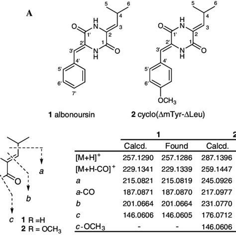 A Structures Of The Two Antibacterial Cyclic Dipeptides Produced By N