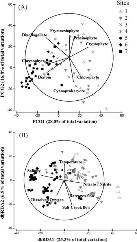 A Principal Coordinate Analysis Pco Of Phytoplankton Communities Download Scientific