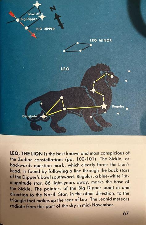 Regulus Black Constellation