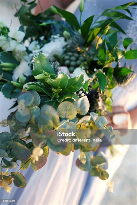 이벤트에 대 한 입고 여름에 야외에서 서 일몰 빛에 아름 다운 꽃다발을 들고 큰 반지와 여자의 손 결혼식에 대한 스톡 사진 및 기타 이미지 Istock