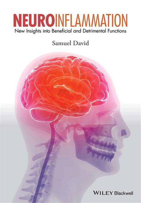Neuroinflammation New Insights Into Beneficial And Detrimental