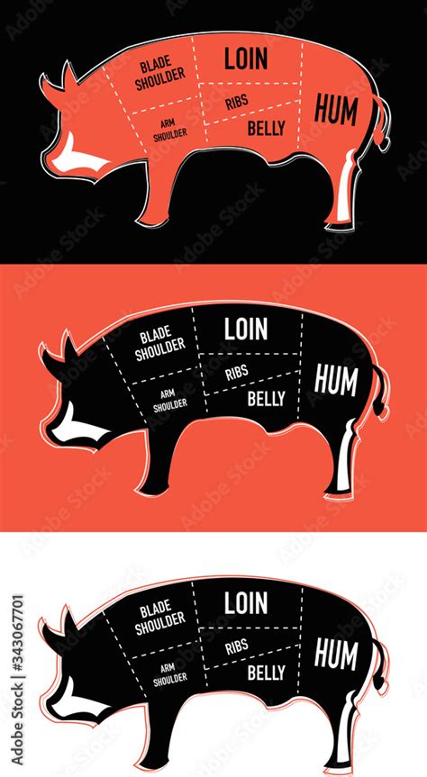 Vector Animal Silhouette Pork Meat Cuts Diagrams Diagrams For Butcher