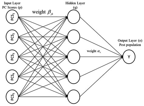 A Typical Ann Structure With A Single Hidden Layer Download Scientific Diagram