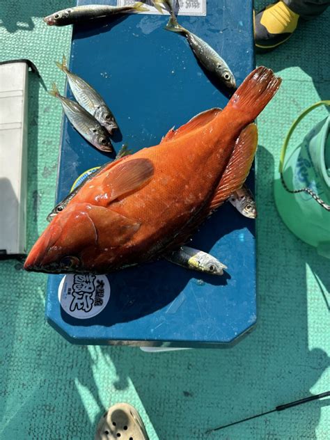 やままる渡船：南伊勢町方座浦の仕立船、渡船、レンタルボート 三重県南伊勢町方座浦の磯釣り、船釣り、レンタルボードを楽しんで！！ 海釣りを案内します