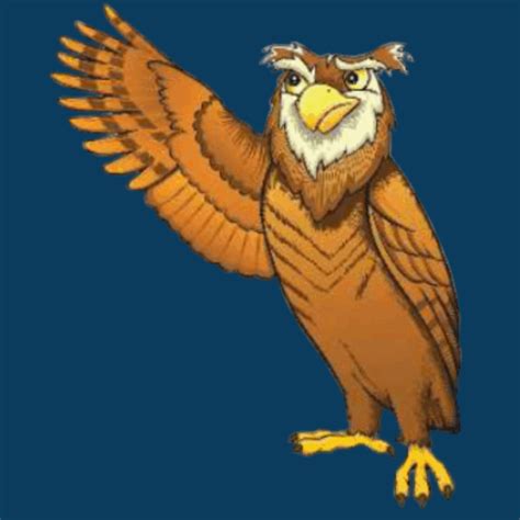 Discover Your Disc Birds Personality Type