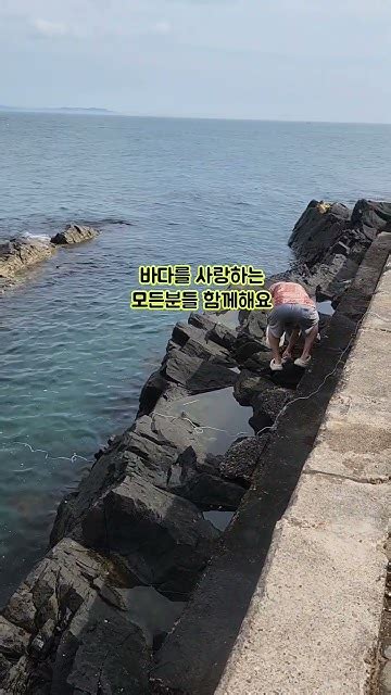 프로캠퍼라면 당연히 해야할일 내가 버린 쓰레기가 아니더라도 바다를 위해서 꼭 실천해주세요 그것이 곧 내 자신을 위하는