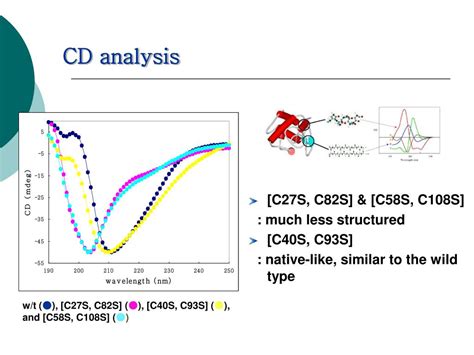 Ppt The Role Of Disulfide Bonds On The Activity Stability And