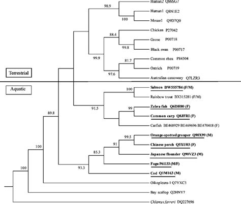 Phylogenetic Tree Based On The Unambiguously Aligned Portion Of The