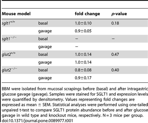 Glut Transporter Table