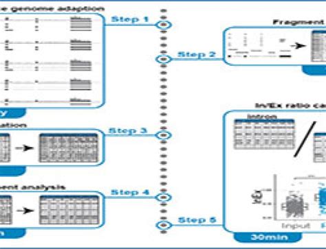 Split Seq Single Cell Profiling With Split Pool Barcoding Rna Seq Blog