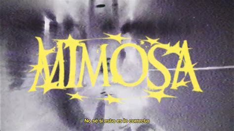 Mimosa Khaleb Youtube