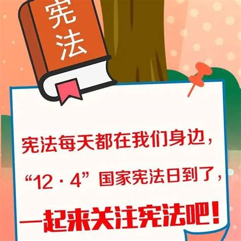 我与宪法的一天国家宪法日复兴自觉遵守