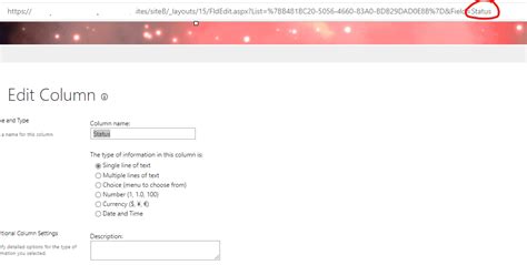 Displaynot Dispaly Through Fromat Column In Sharepoint List